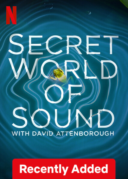 August 2024 kids' additions to Netflix USA - NewOnNetflixUSA